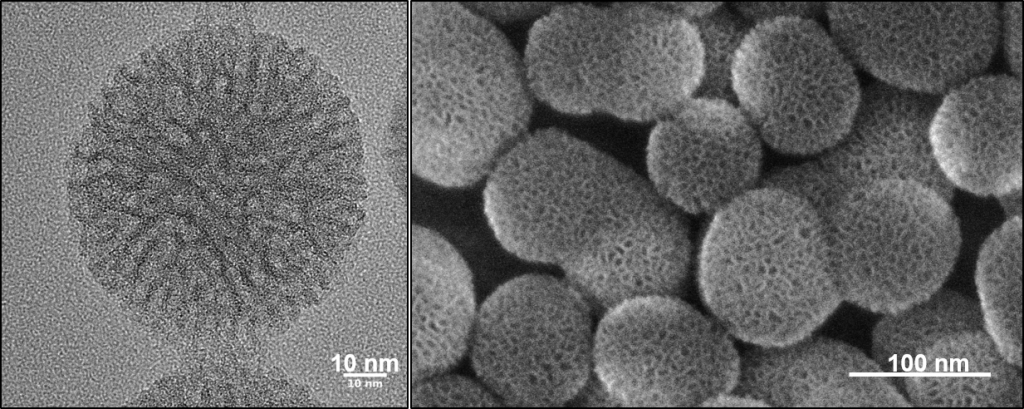 Mesoporous Nanoparticles for Drug Delivery – Bein Research Group